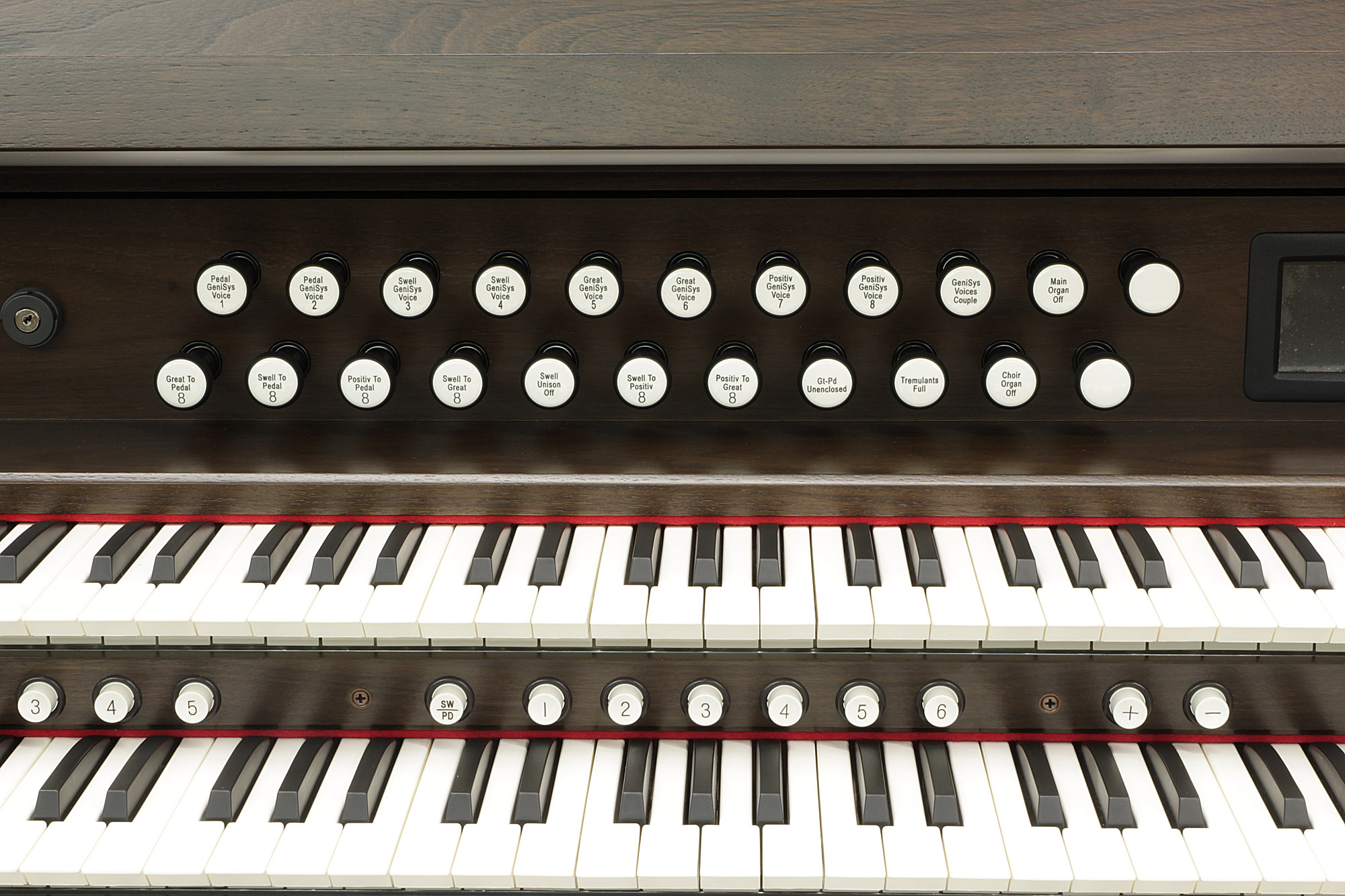 Allen Organ of the Week Miami Florida