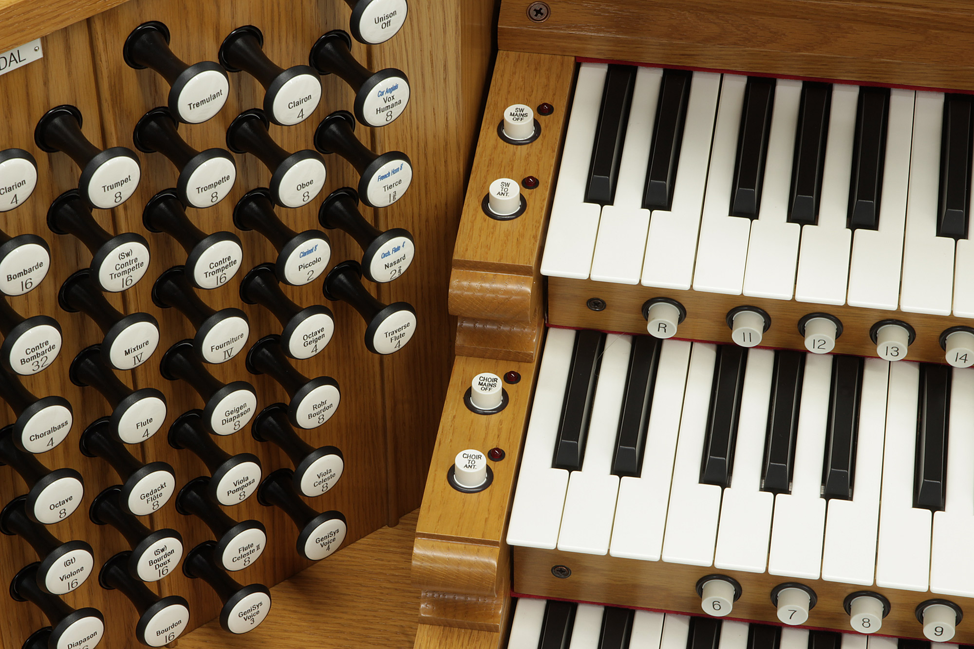 Allen Organ of the Week Buffalo New York