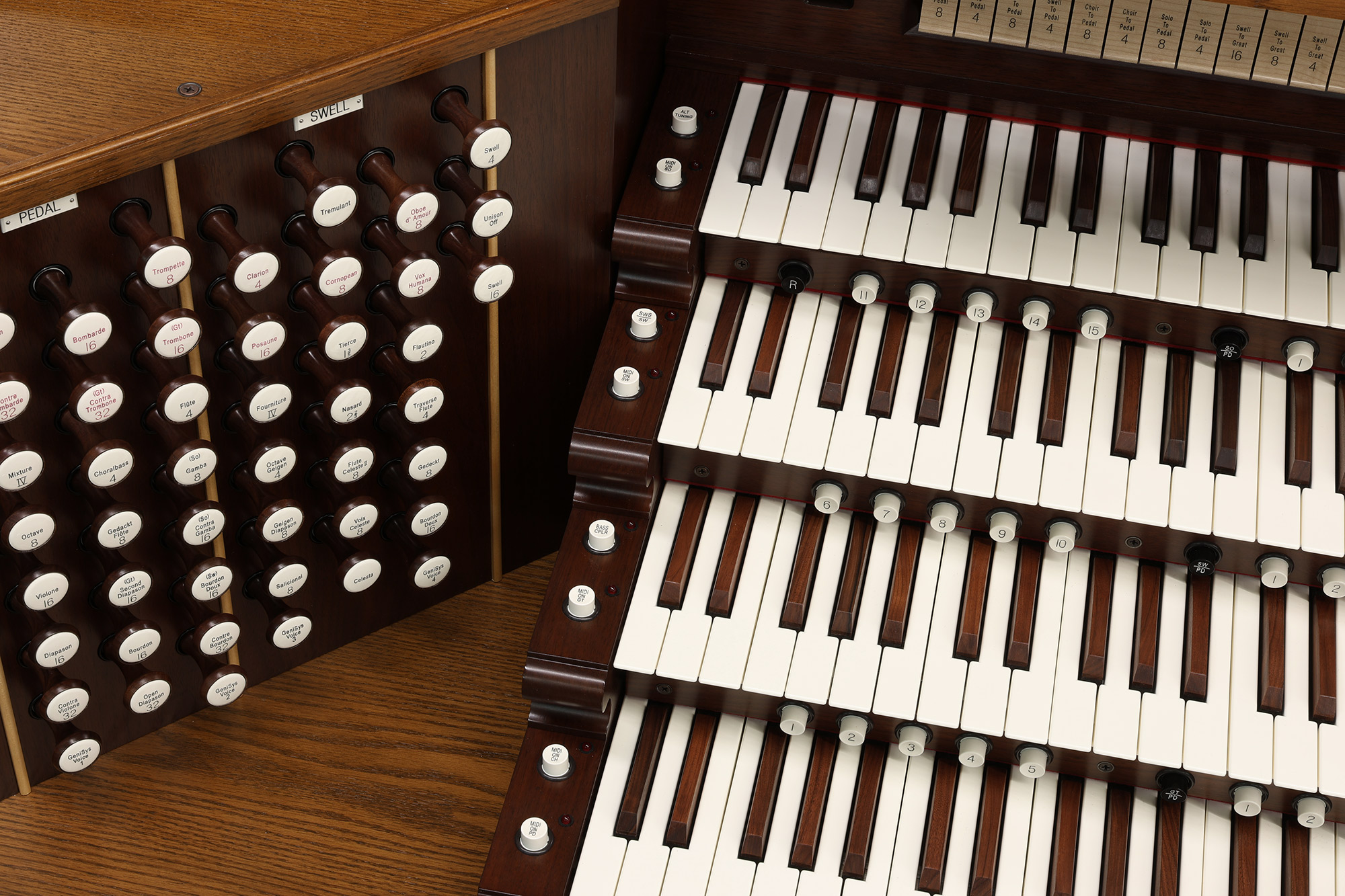 Allen Organ of the Week South Africa