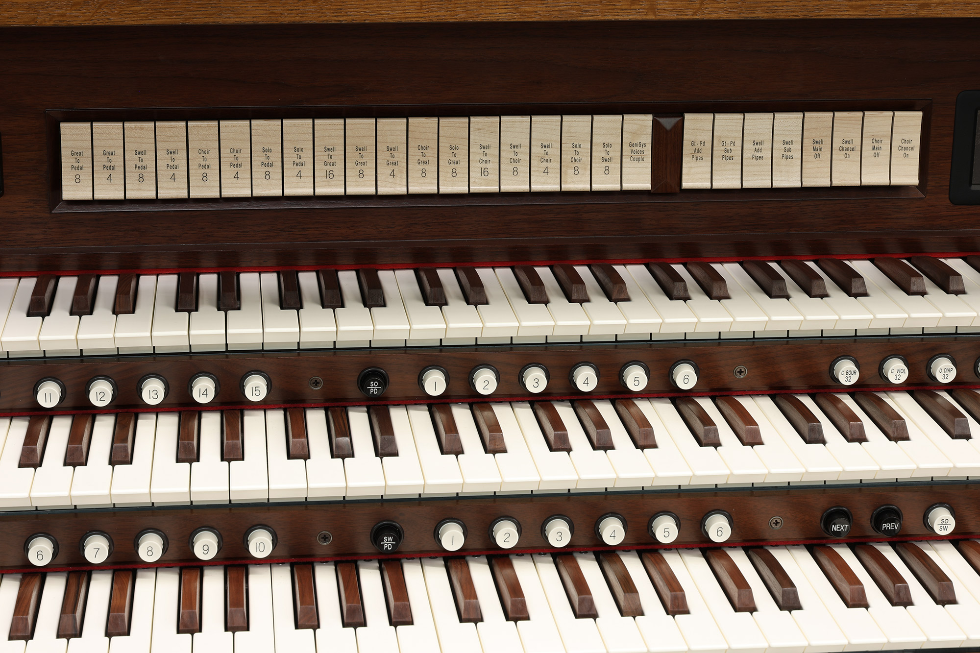 Allen Organ of the Week South Africa