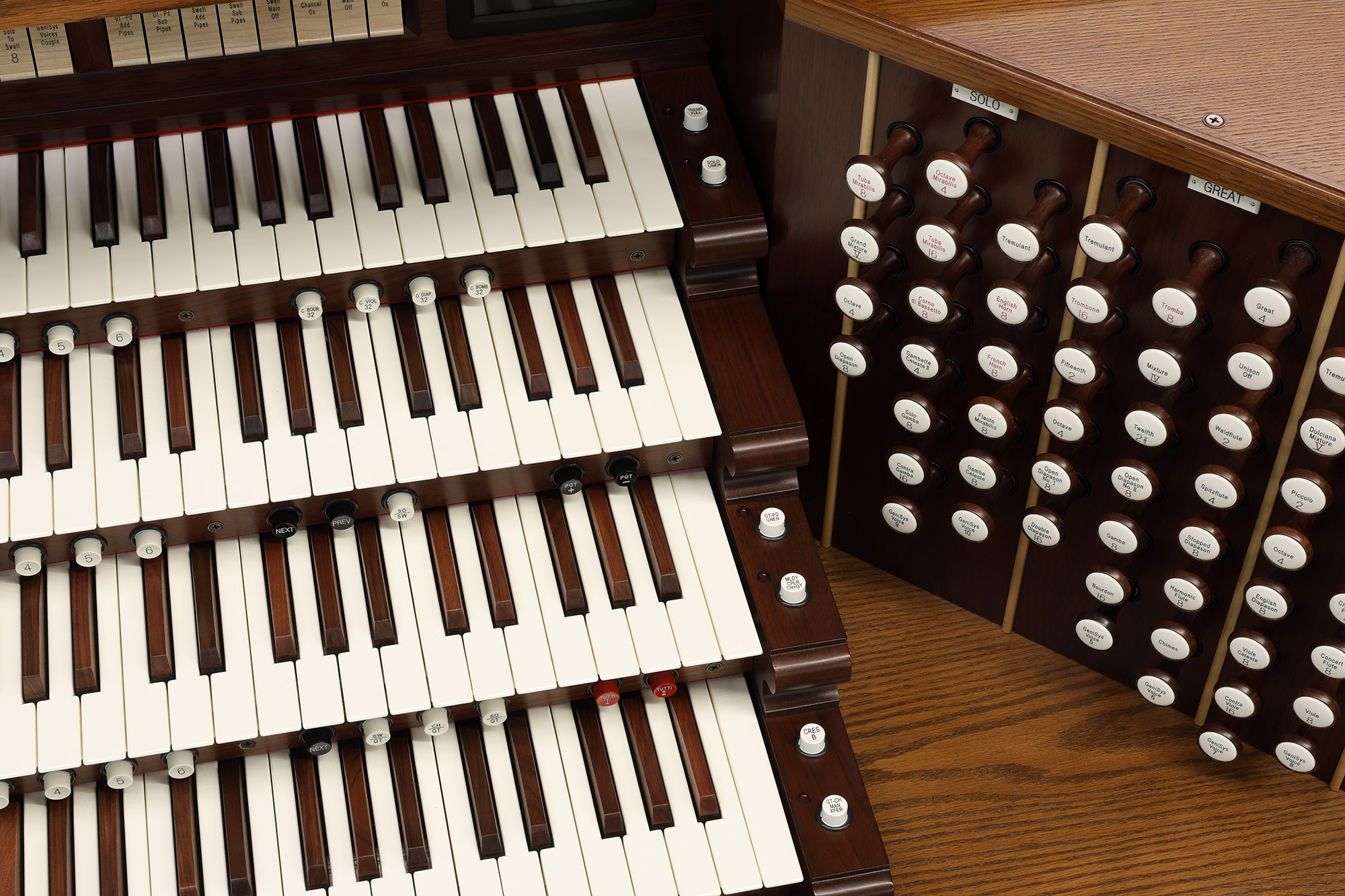 Allen Organ of the Week South Africa